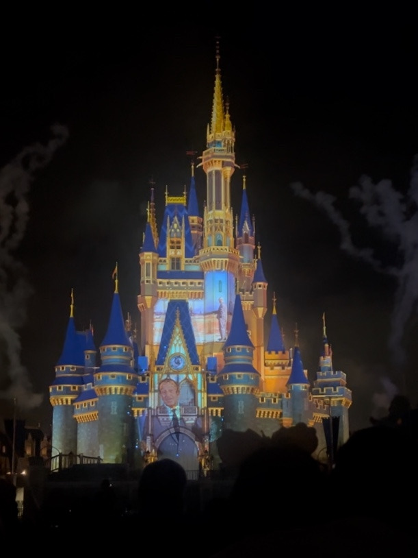 신데렐라 성 디즈니 월드 밤 세계 테마파크의 성지,